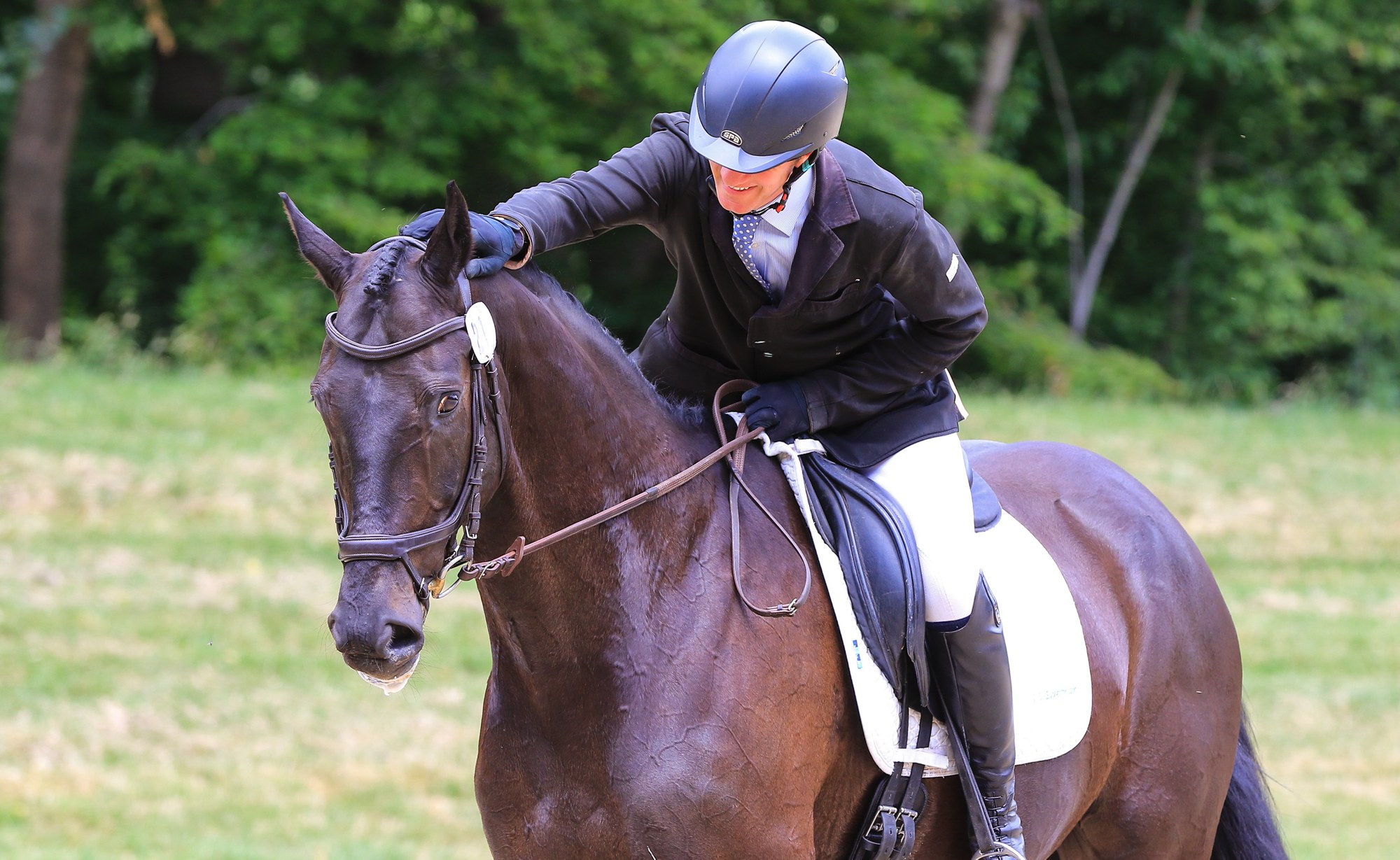 Equestrian Competition, ROR and Tuition